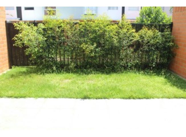 Casa en arriendo en Cali | PROPERATI