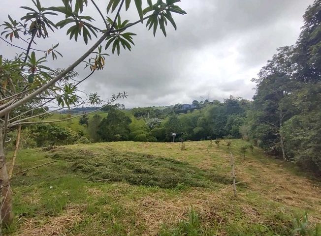 Lote en venta en Circasia | PROPERATI